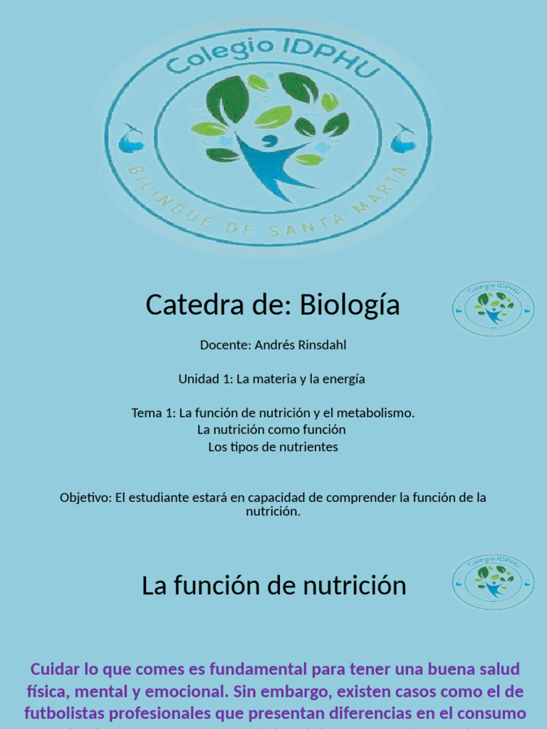 La Función de Nutrición | PDF | Alimentos | Dieta