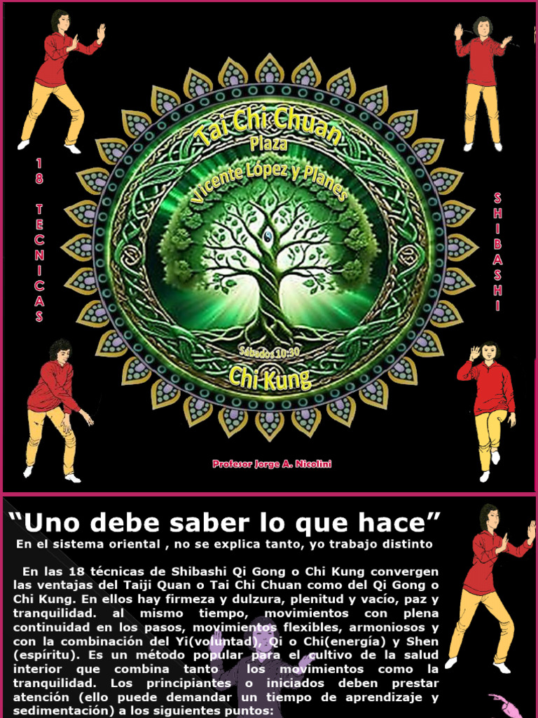 Shibashi Con Poster2 | PDF | Qigong | Qi