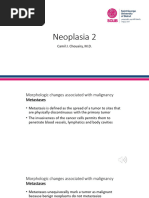 Endophytic vs Exophytic Tumors Explained | PDF