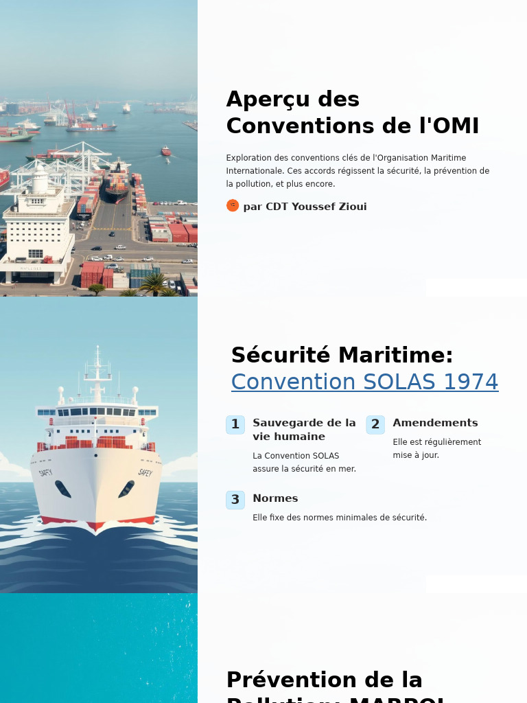 Apercu Des Conventions de lOMI | PDF