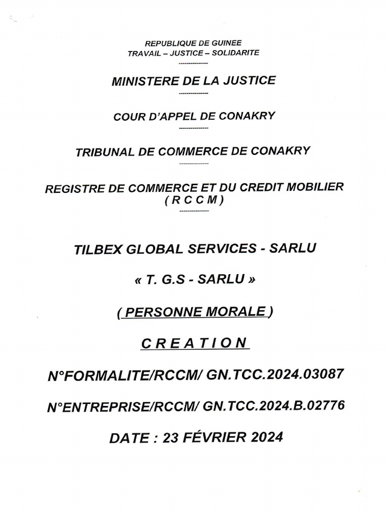 Rccm-Tilbex Global Services | PDF