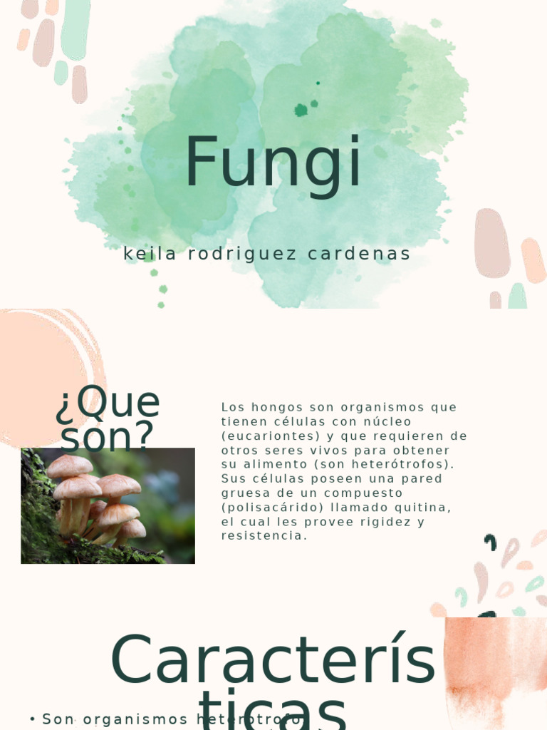 Fungi | PDF | Hongo | Biología