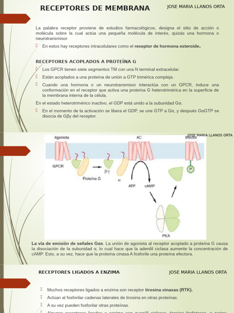 Receptores de Membrana y Transporte Celular | PDF | Receptor ...