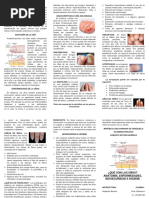 Uñas de Terry y Onicofosis: Causas y Tratamiento | PDF | Clavo ...