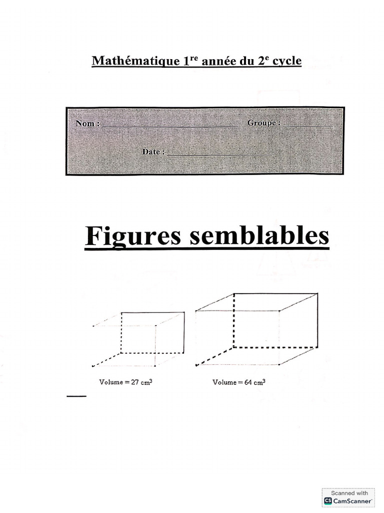 Corrigé Figures Semblables | PDF