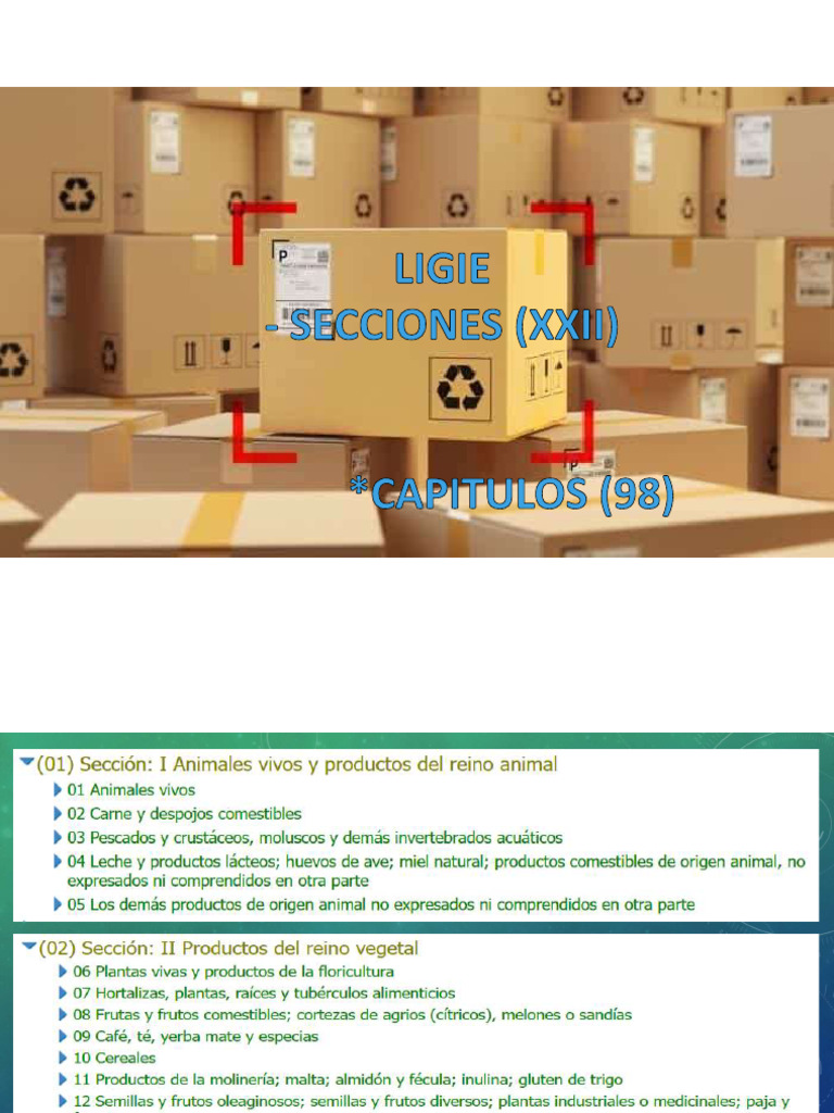 Ligie - Por Capitulos | PDF