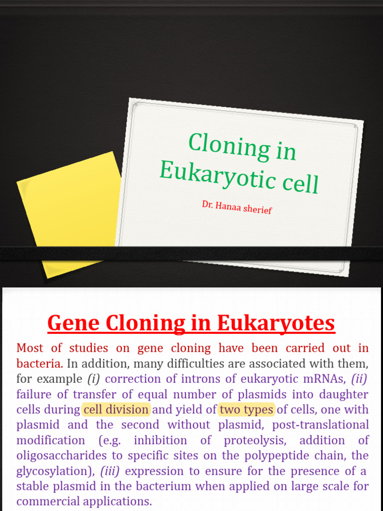 Gene Transfer | PDF | Complementary Dna | Vector (Molecular Biology)
