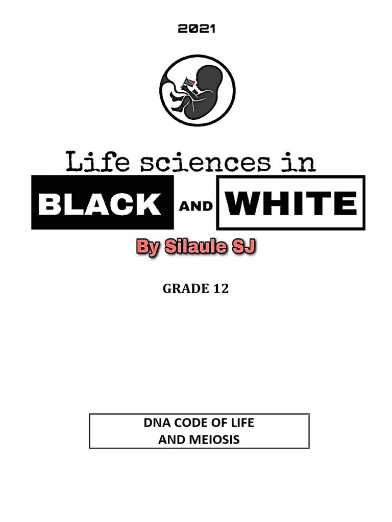 B$B Dna &meiosis Memo | PDF