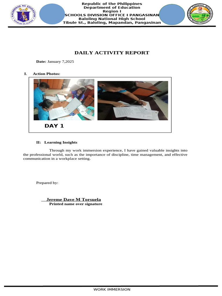 Work Immersion Daily Activity Report | PDF | Learning | Cognition