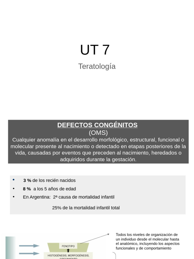 UT7 Terato | PDF | Enfermedades y trastornos humanos | Biología