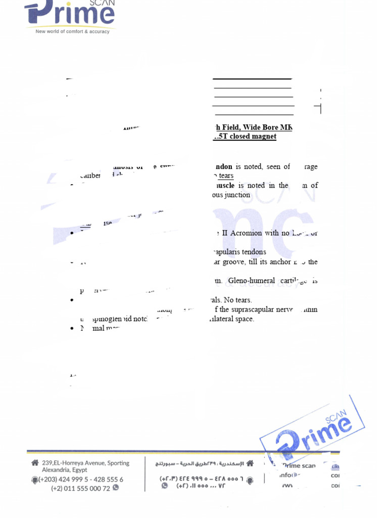 Sherine Ibrahim Elsayed Elzohiry (2) | PDF