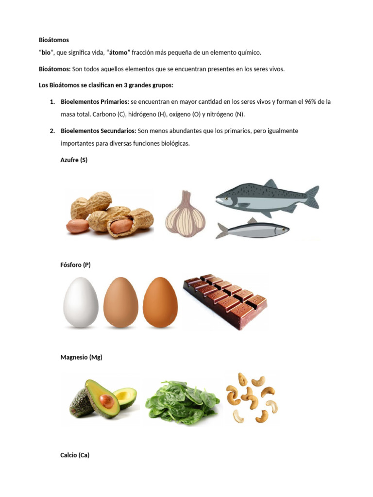 Clasificación de Bioelementos en Seres Vivos | PDF