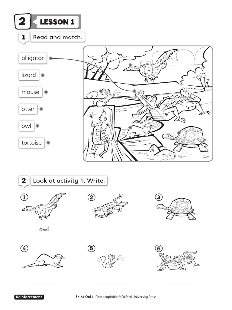U2 l1 Reinforcement | PDF