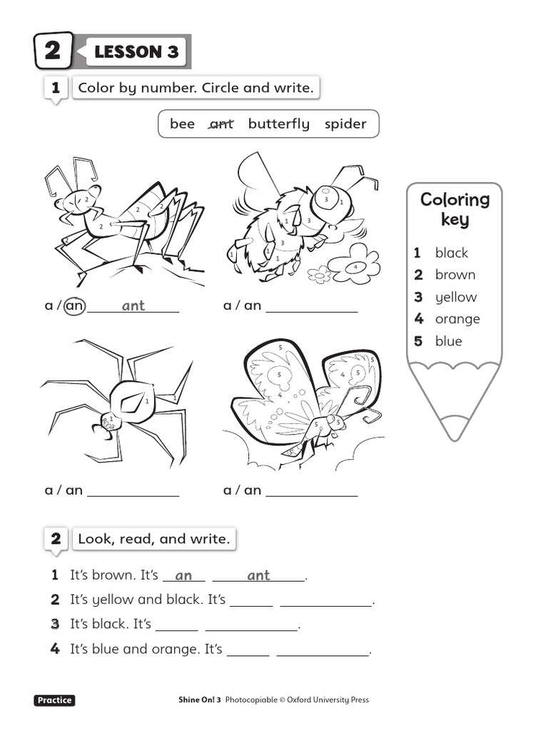 U2 l3 Practice | PDF
