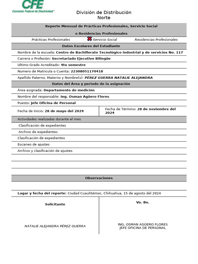 Reporte Mensual 2024 | PDF