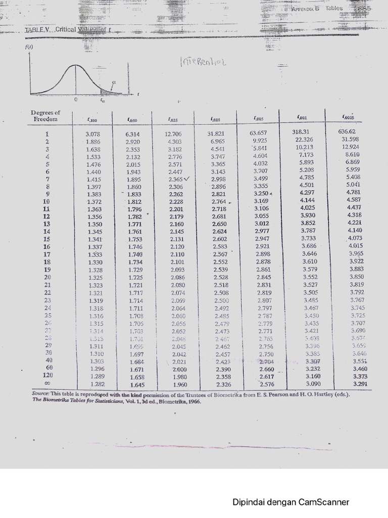 Table T Test One Tail | PDF