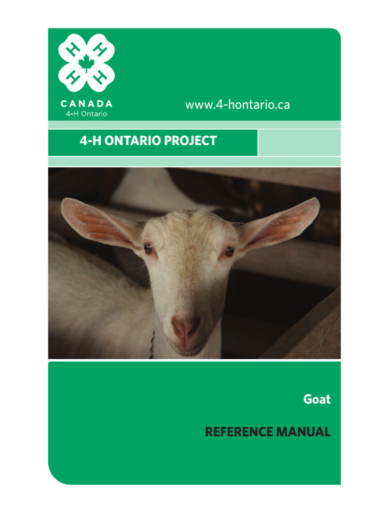 4-H Goat Project Reference Manual | PDF | Goat