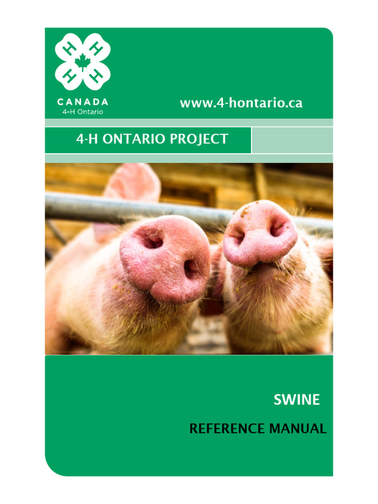 4-H Swine Project Reference Manual | PDF | Pig | Animal Welfare
