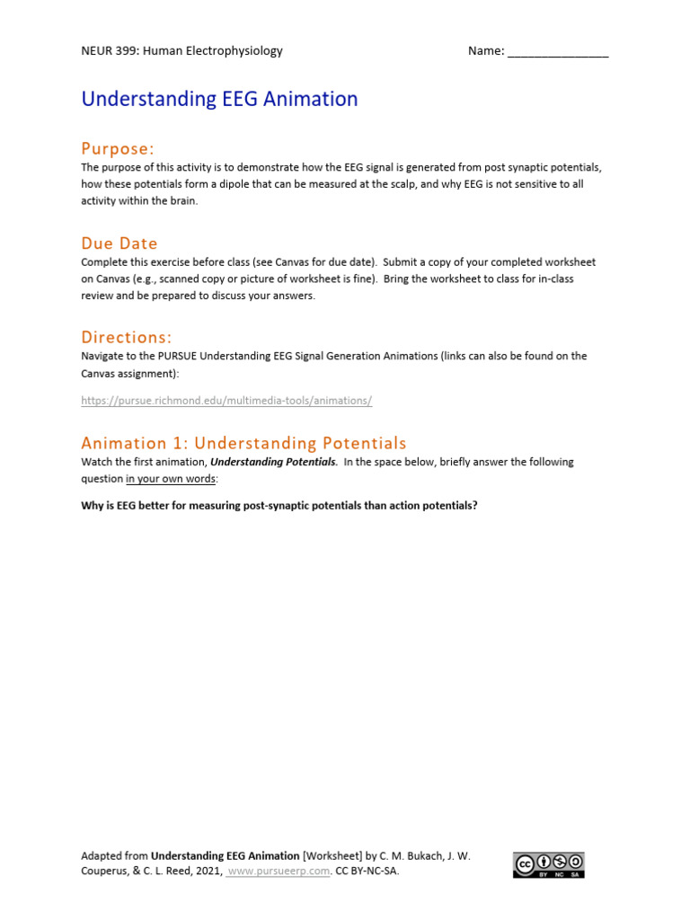 2 2 - Take Home - Understanding EEG Animation | PDF