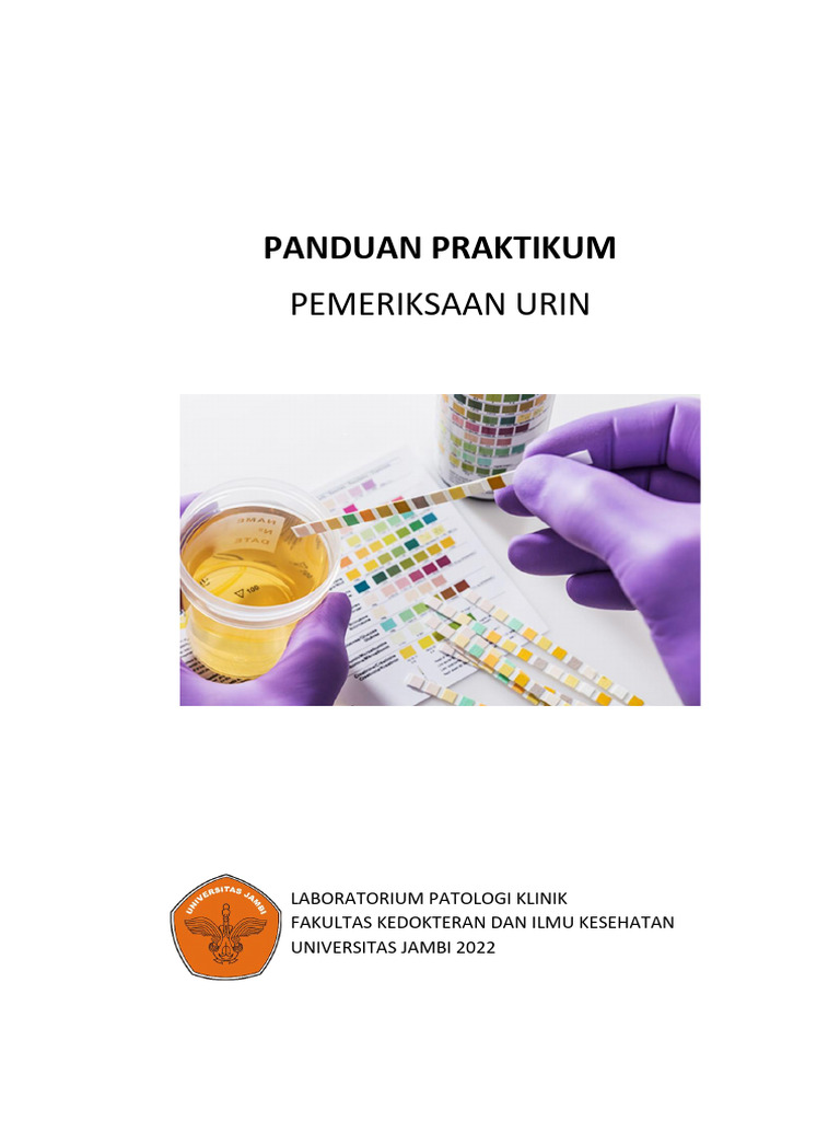Panduan PEMERIKSAAN URIN | PDF