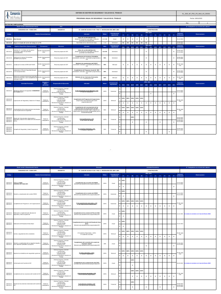 NL_3000_NF_PRG_IP3_NNA_HS_000019 REV 1 PROGRAMA ANUAL DE SST_2024 | PDF