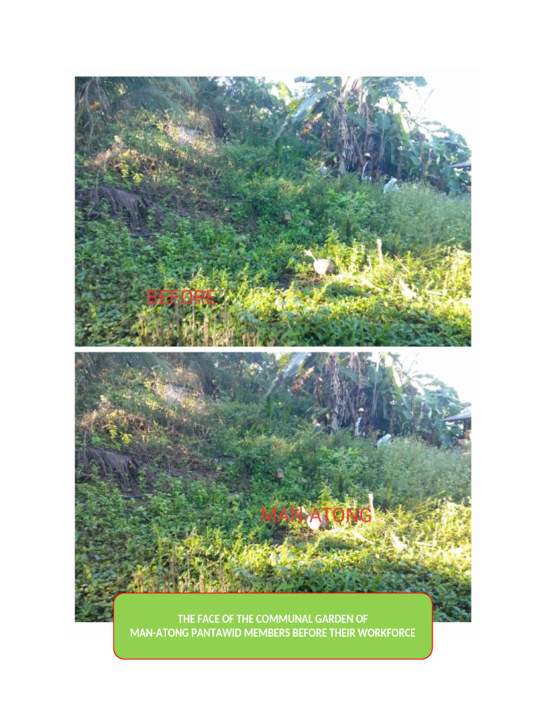 Oplan Taob Communal Garden | PDF