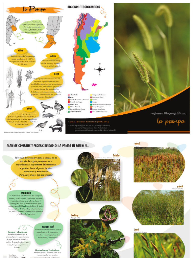 Regiones Fitogeográficas de La Pampa | PDF | Agricultura