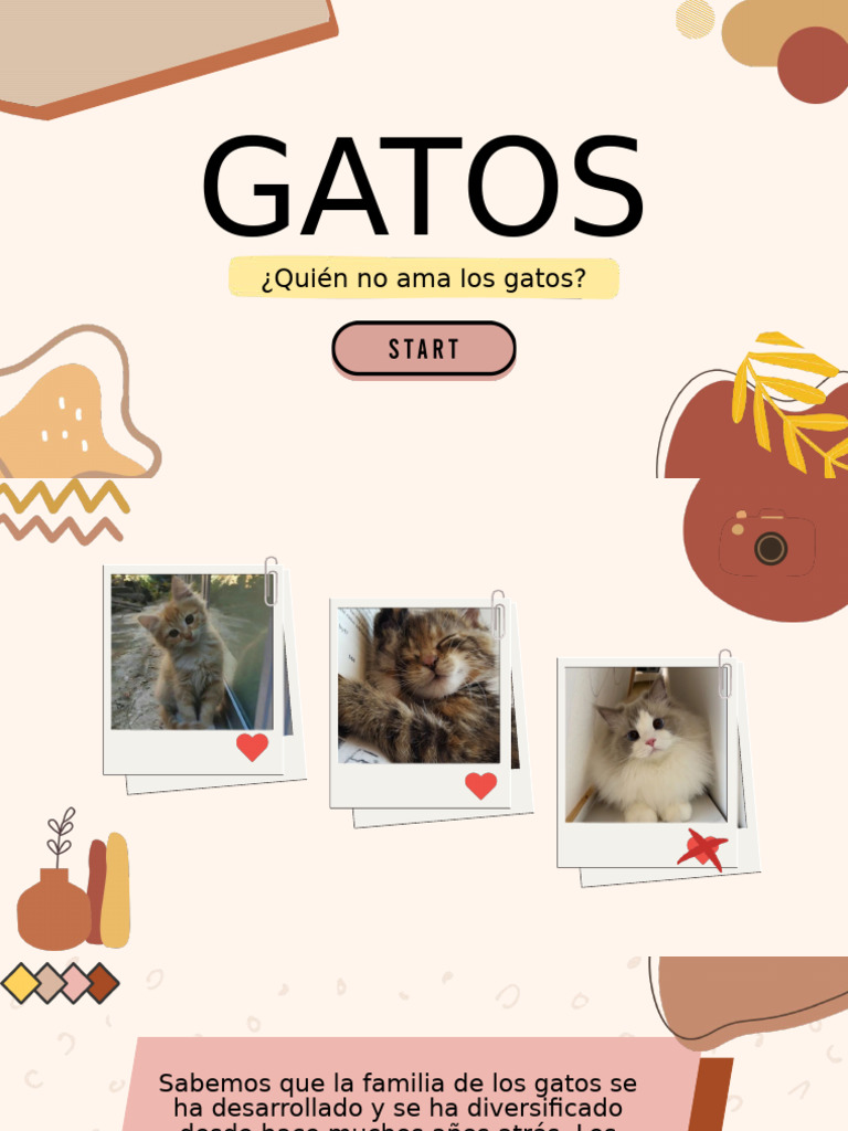 Gatos | PDF | Gatos | Leopardo