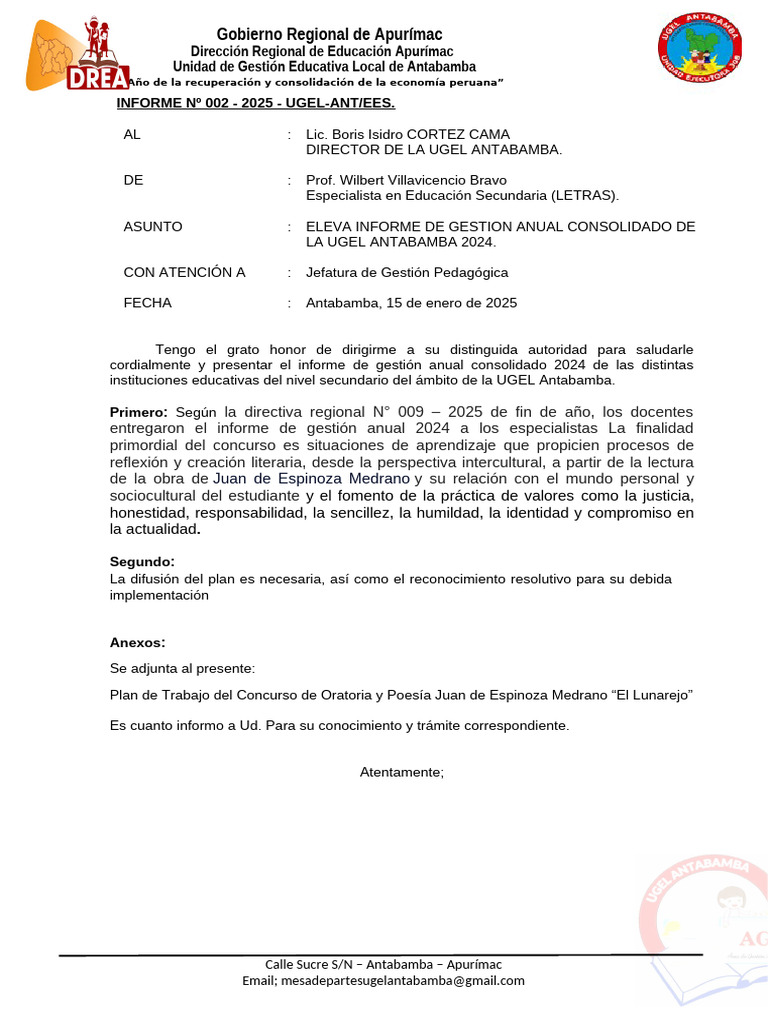 Informe #002 - 2025 Iga | PDF