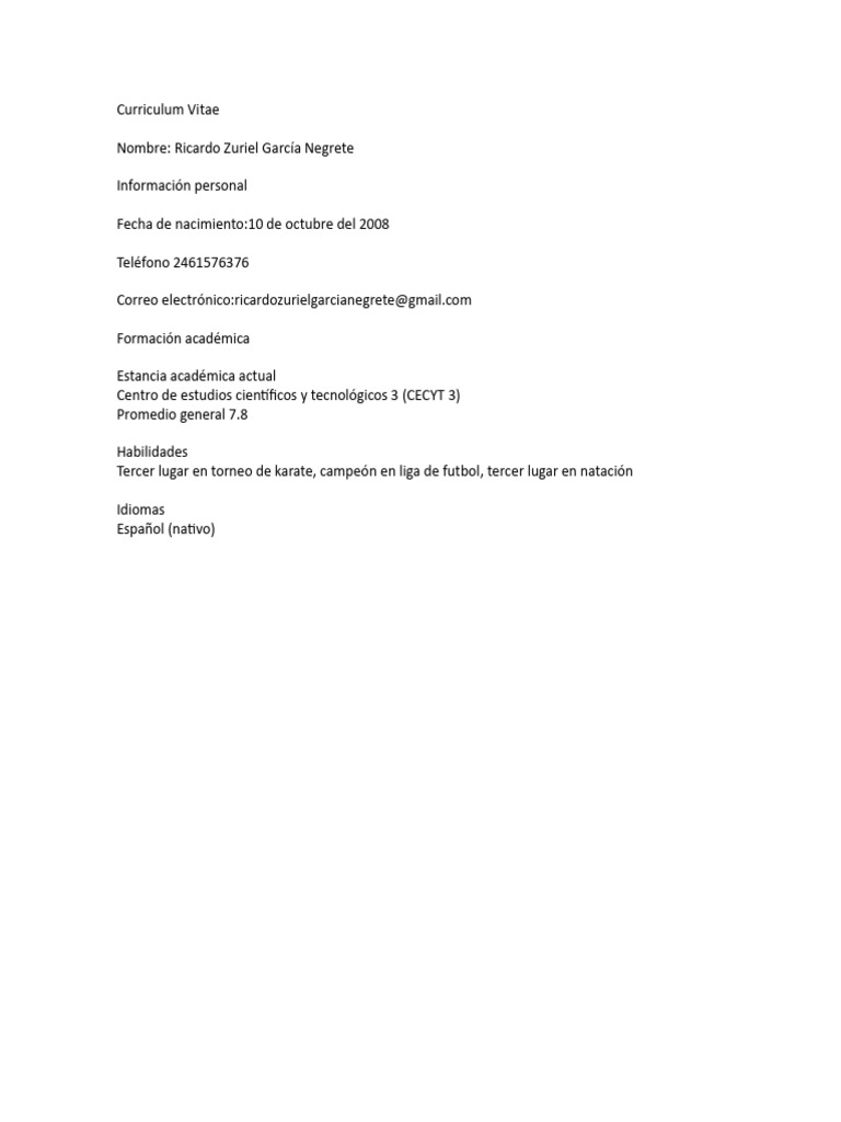 Currículum Vitae Ricardo | PDF