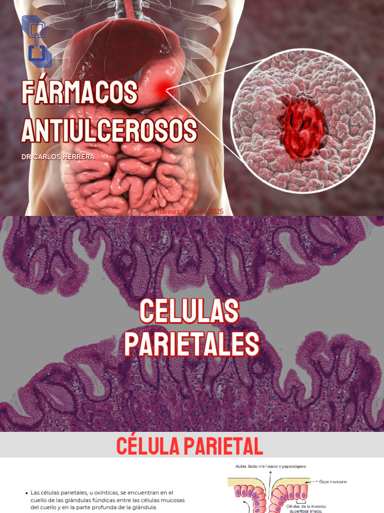 Farmacos Antiulcerosos - 20250213 - 003225 - 0000 | PDF | Drogas ...