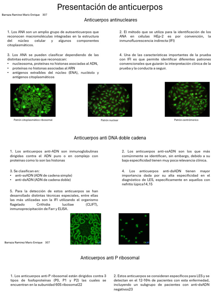 presentacion de anticuerpos | PDF | Anticuerpo | Inmunología