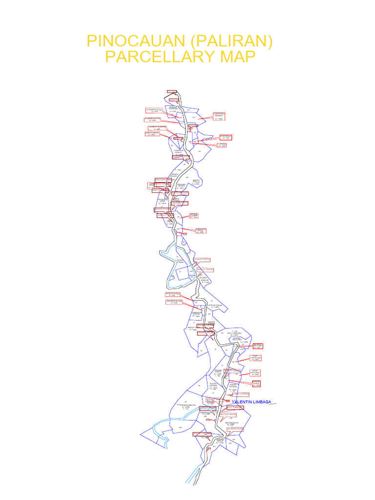 Pinocauan (Paliran) Parcellary Map | PDF