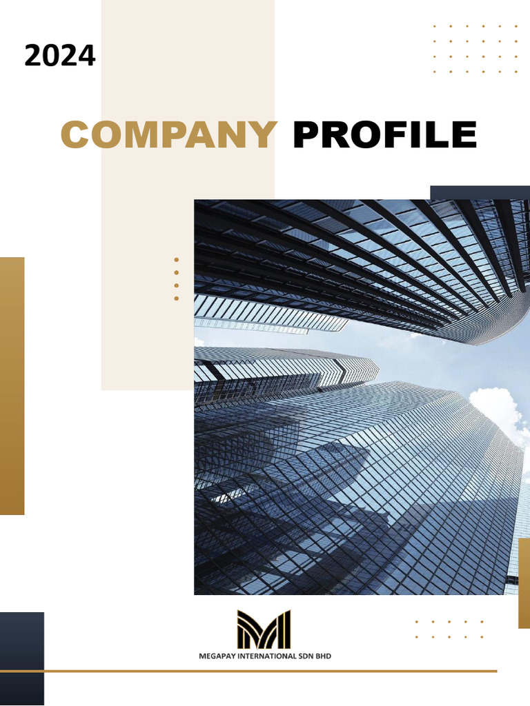 Megapay International Company Profile | PDF | Debit Card | Point Of Sale