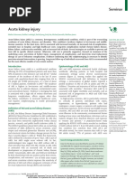 KDIGO AKI AKD Guideline Scope of Work 2023 Final | PDF | Diseases And ...