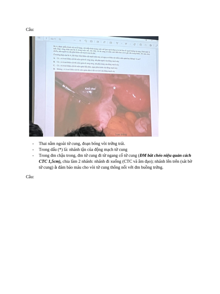 giải đáp sản y20 | PDF