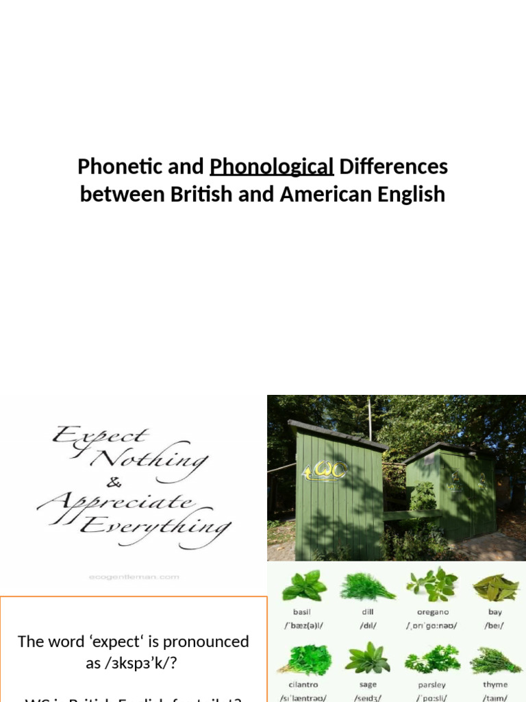 Phonetic and Phonological Differences Between British and American ...
