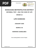 Understanding Meiosis in Life Sciences | PDF | Meiosis | Chromosome