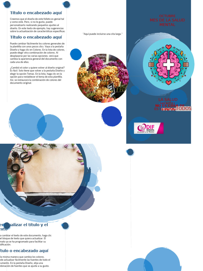 Triptico Salud Mental | PDF