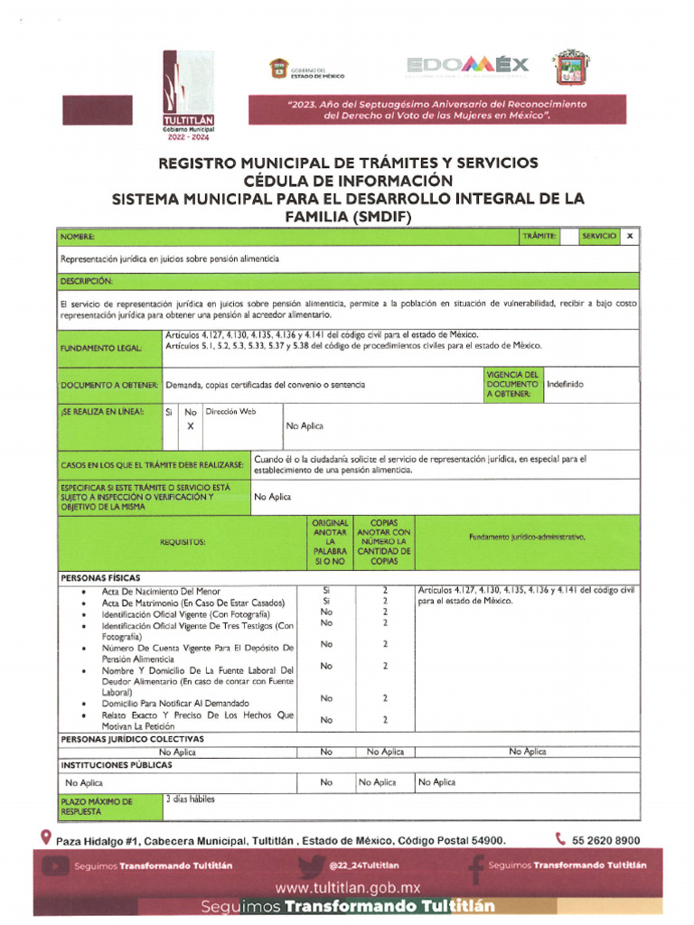 Representacion Juridica en Juicios Sobre Pension Alimenticia | PDF