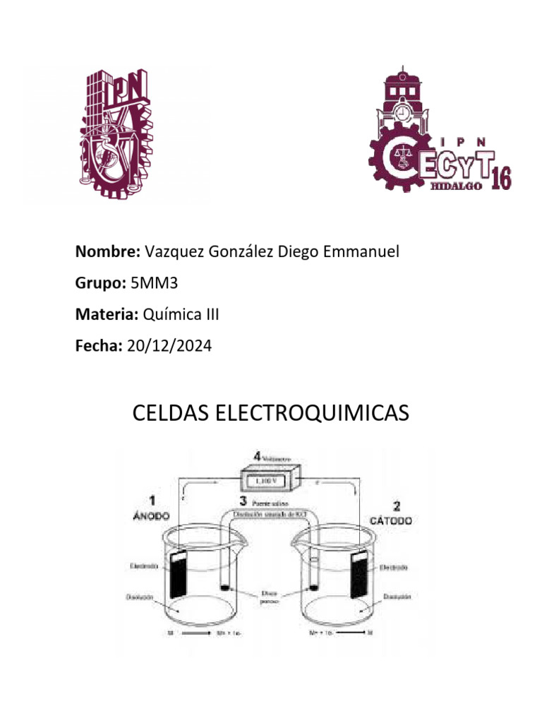 VGDE-CELDAS | PDF | Redox | Electroquímica