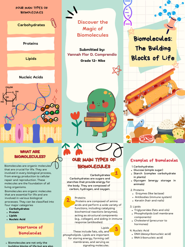 Biomolecules | PDF | Biomolecules | Nucleic Acids