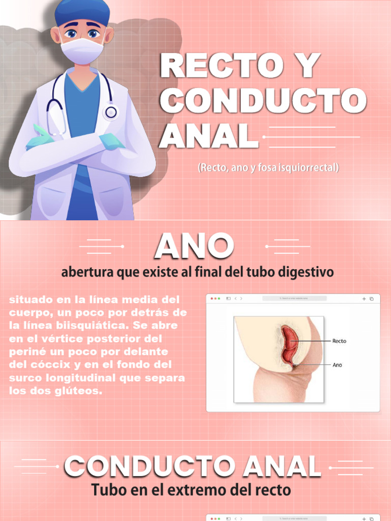 Anatomía y Función del Conducto Anal | PDF | Pelvis | Recto
