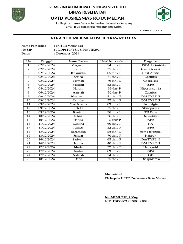 Rekap Pasien Rawat Jalan Desember 2024 | PDF