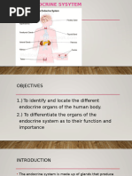 Foley Catheter Insertion Checklist | PDF | Catheter