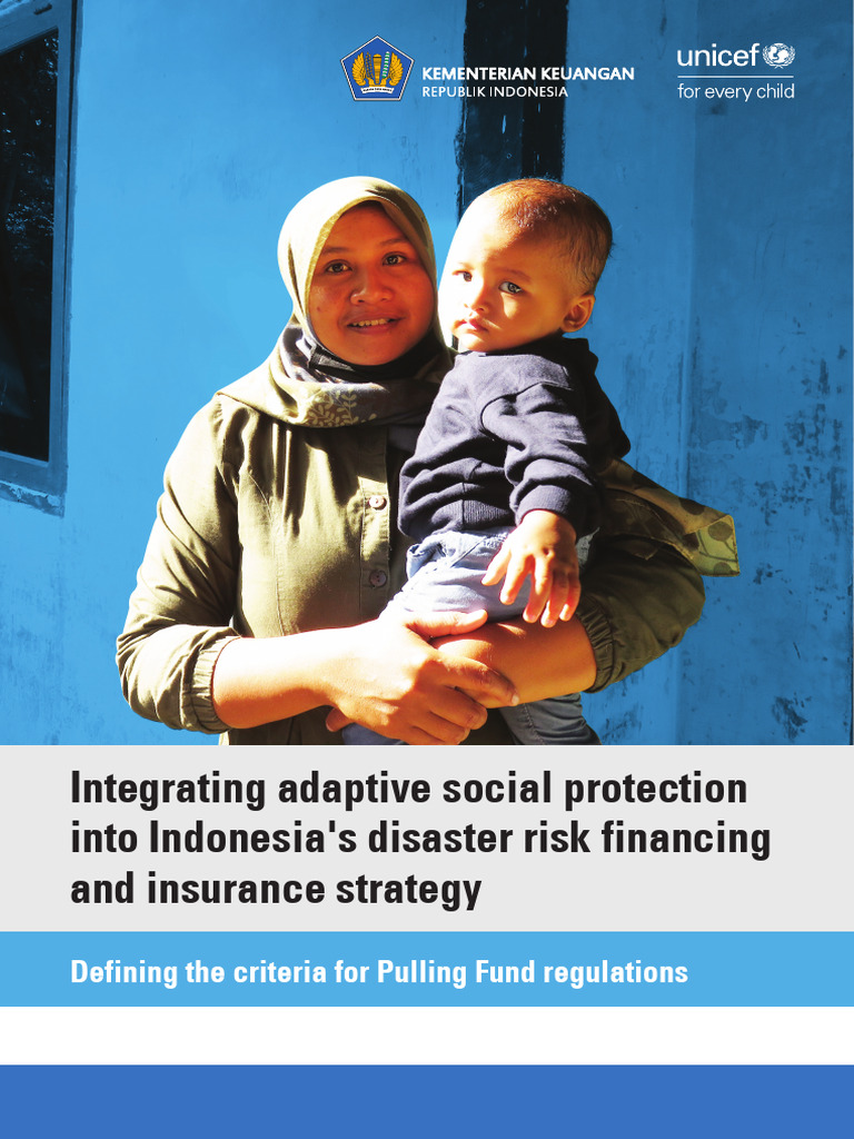integrating-adaptive-social-protection-2024.pdf (2) | PDF | Insurance ...