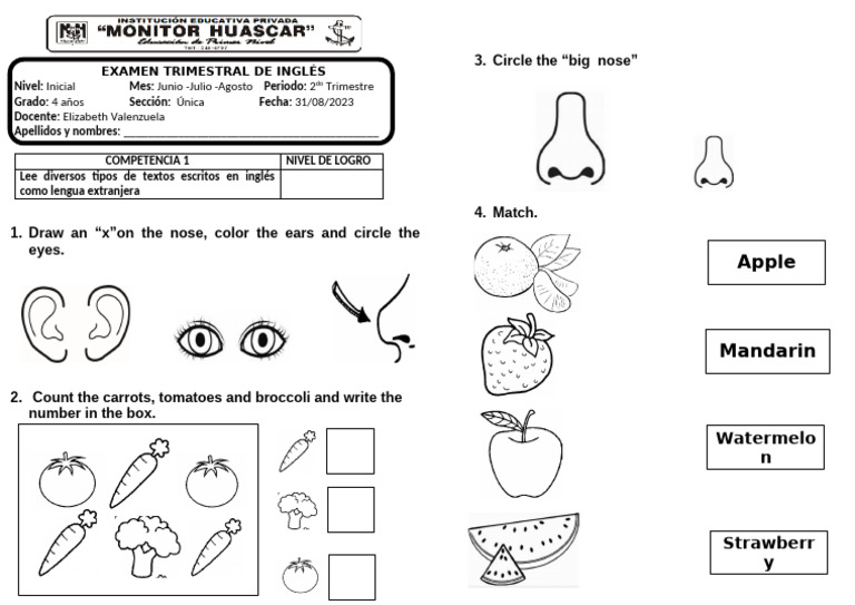 pre-kinder 4 exam | PDF