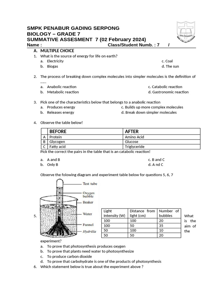 Summative Assesment Energy 2023-2024 | PDF | Photosynthesis | Metabolism