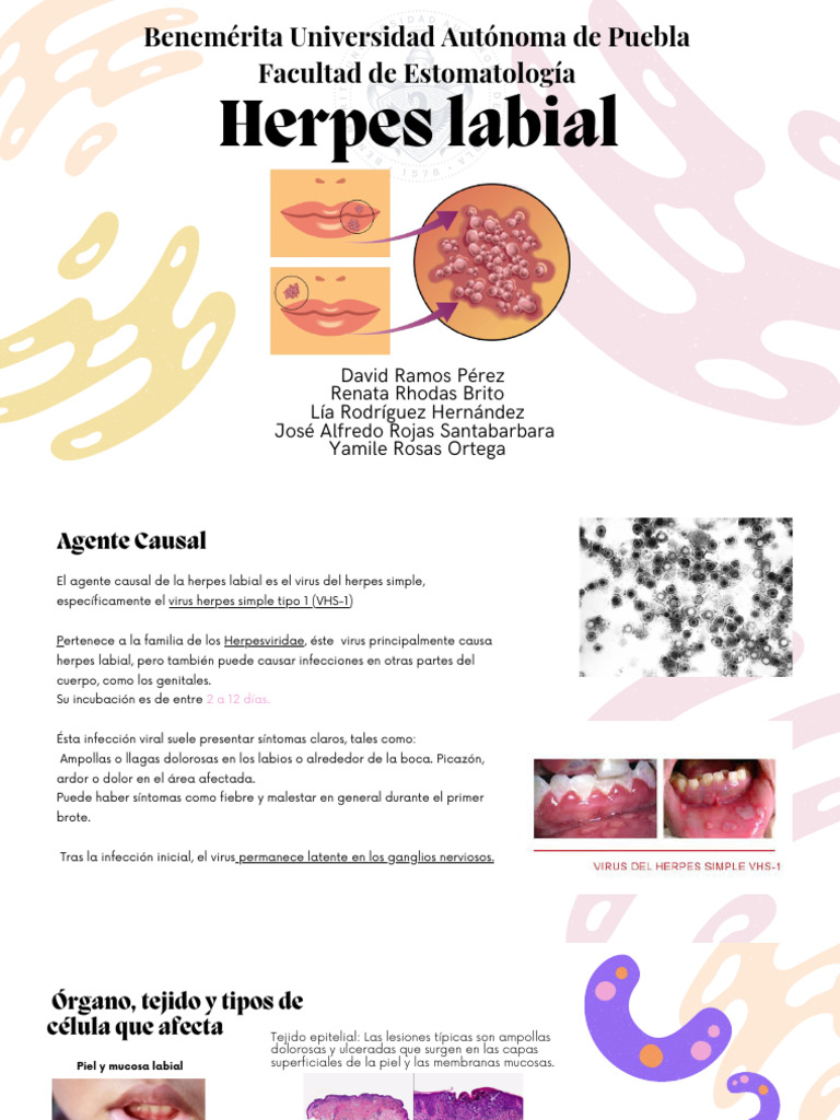 Herpes Labial: Causas y Mecanismos | PDF | Microbiología | Inmunología