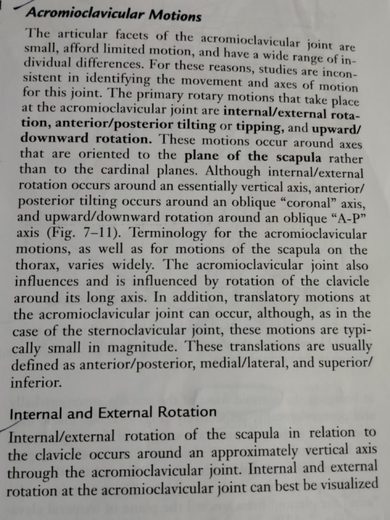 GPT | PDF | Anatomical Terms Of Motion | Rotation